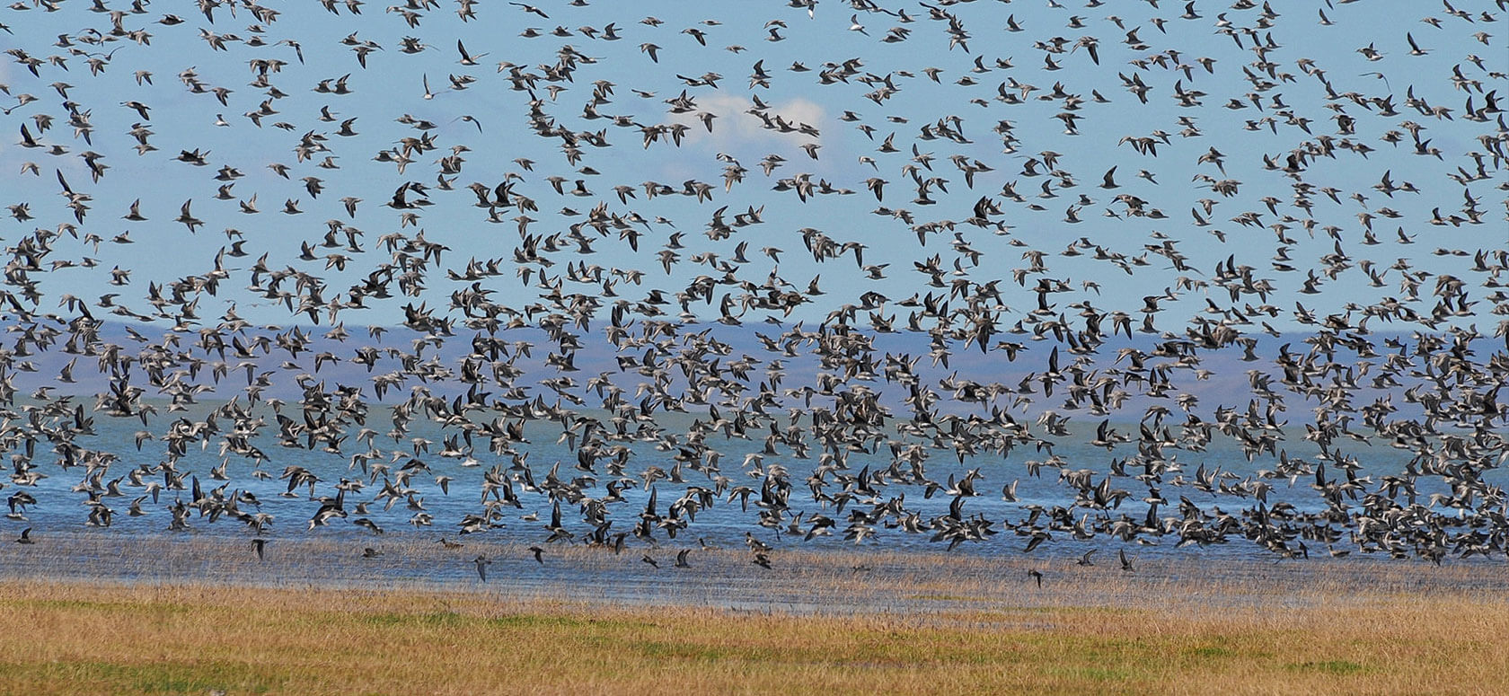 Collaboration with the Chilean Environment Ministry for National ...