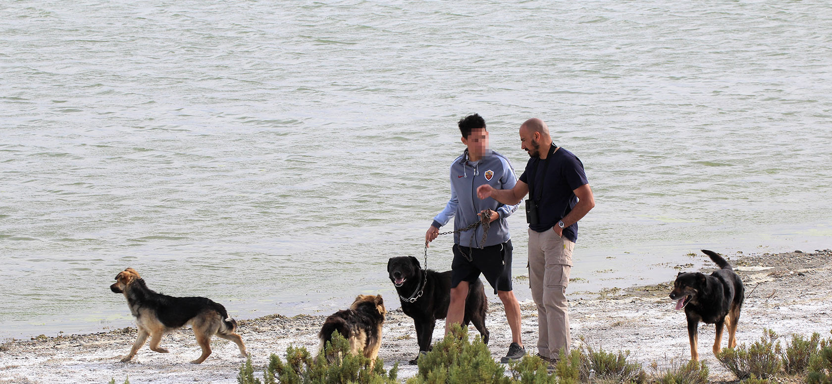 Webinar -Community Engagement to Reduce Disturbance of Shorebirds- 2020 ...