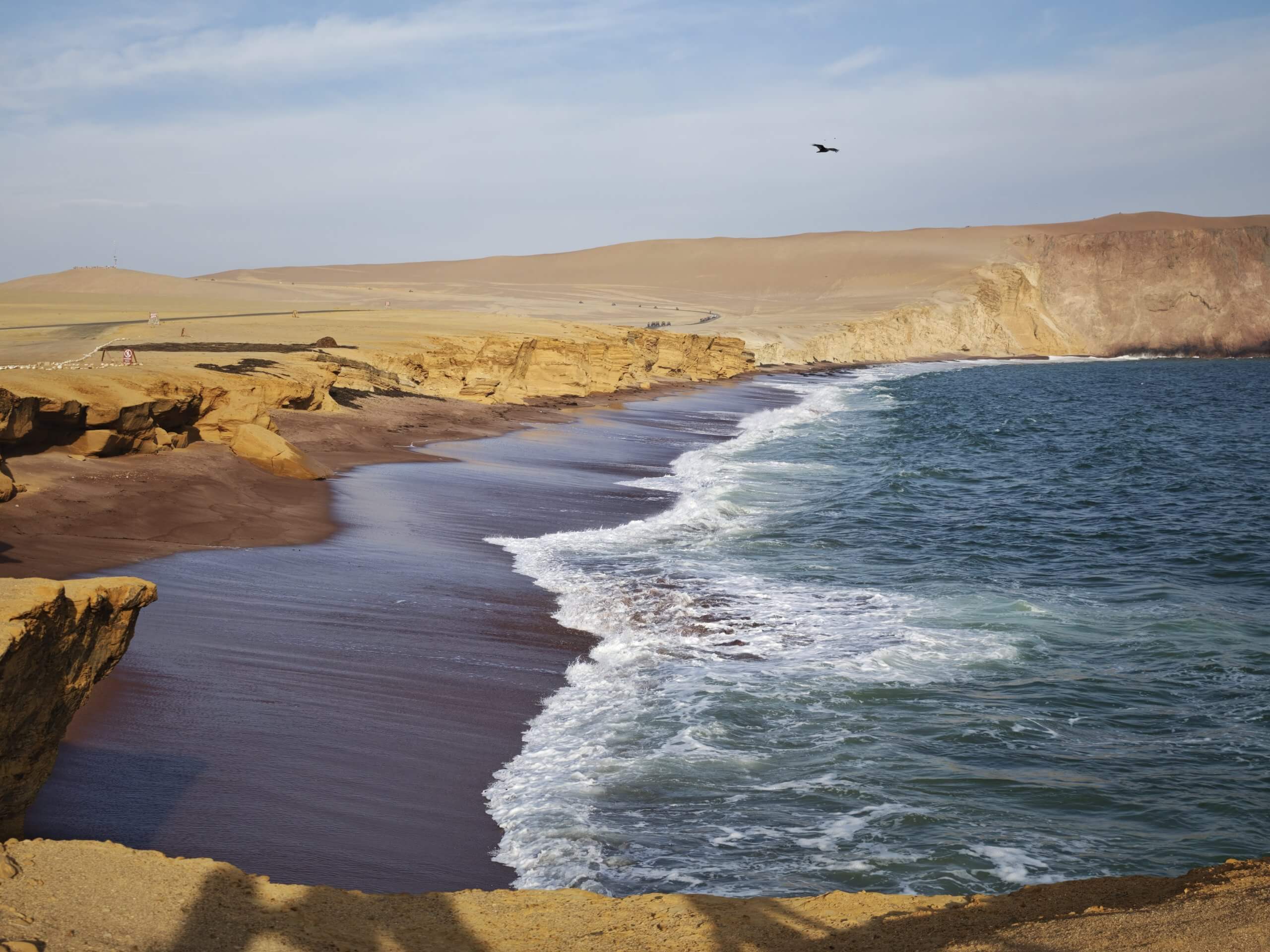Celebrating 40 Years of WHSRN in Paracas, Where the Sea and the Desert Meet