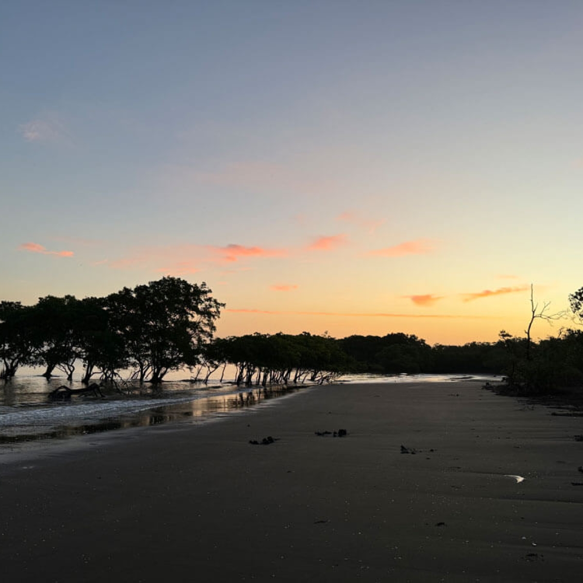 El Agallito Beach and El Retén Beaches – WHSRN