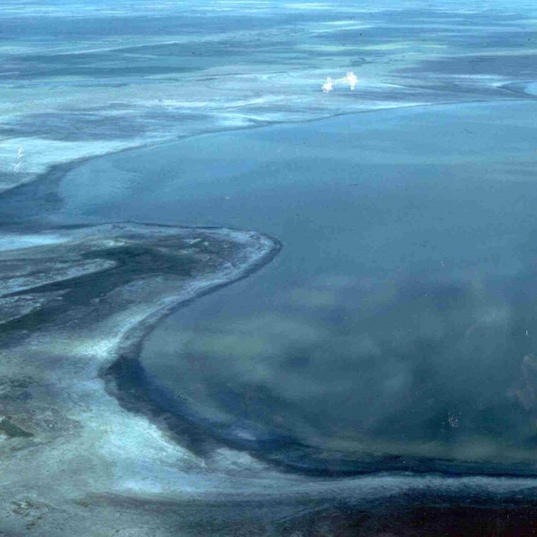 Quill Lakes – WHSRN